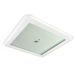 LSI LED Legacy Canopy Light | CRU-SC-LED-SS-CW-UE-WHT | BulbsDepot.com